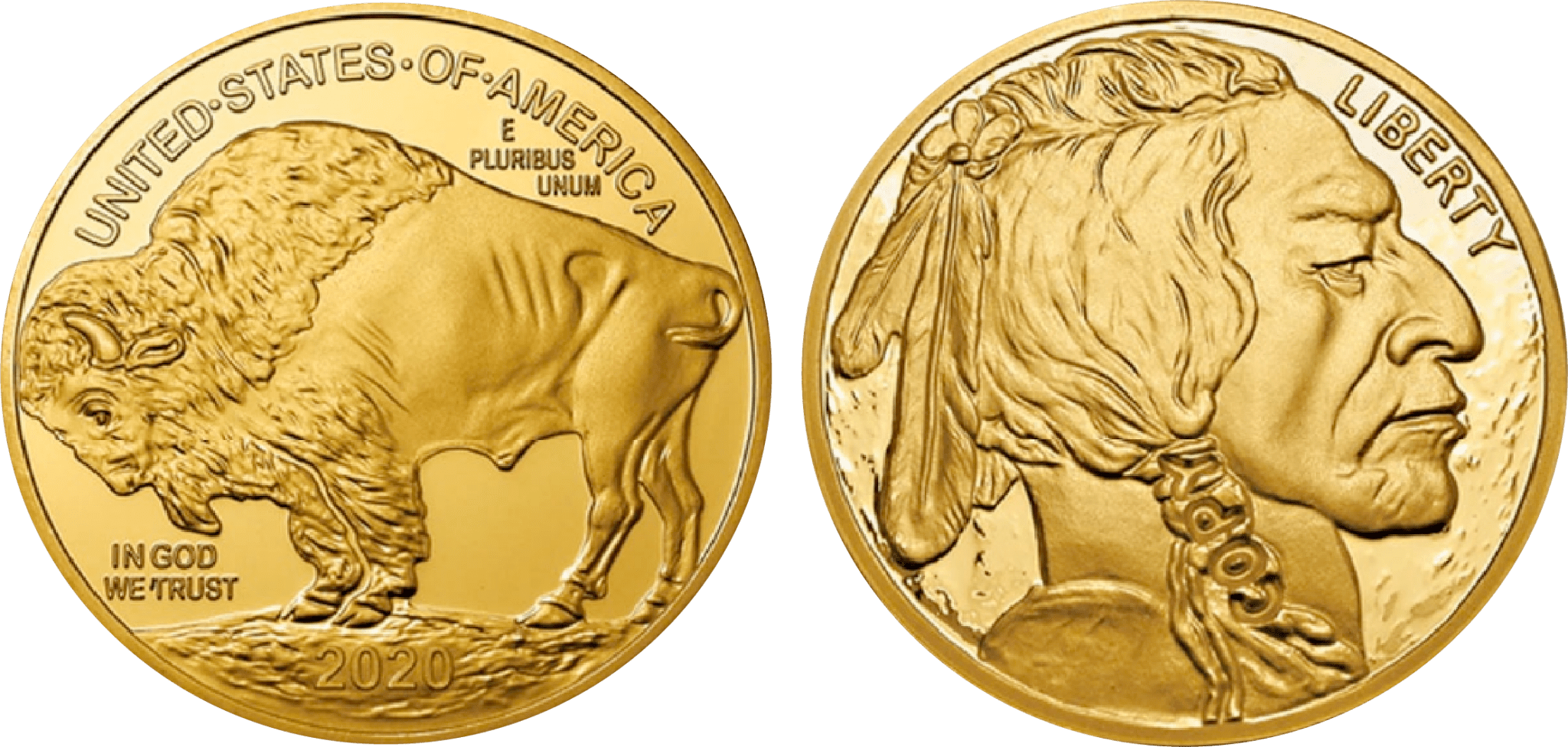 Buffalo Coins – American Collectors Mint